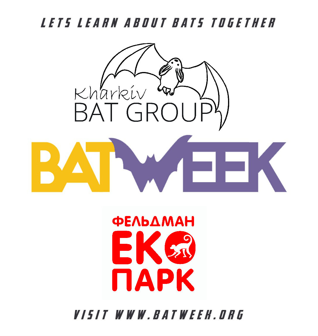 Bat week in Ukraine, Kharkiv city, 24-31 of October 2018 - Ukrainian Bat Rehabilitation Center