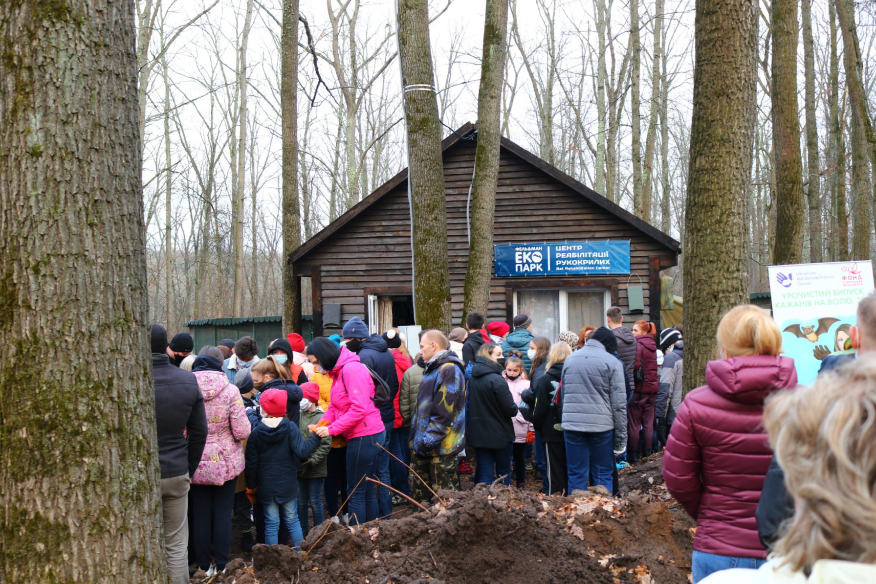 Bat Release Fest 2021 in 4 Ukrainian cities! - Ukrainian Bat ...