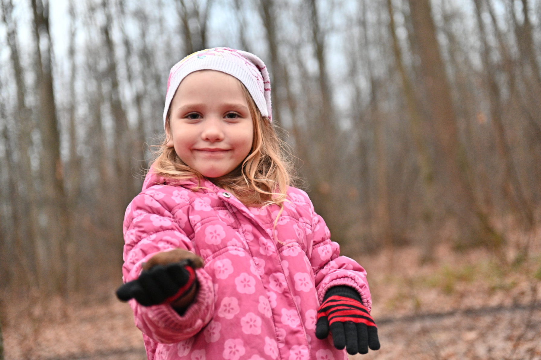 Bat Release Fest 2021 in 4 Ukrainian cities! - Ukrainian Bat ...