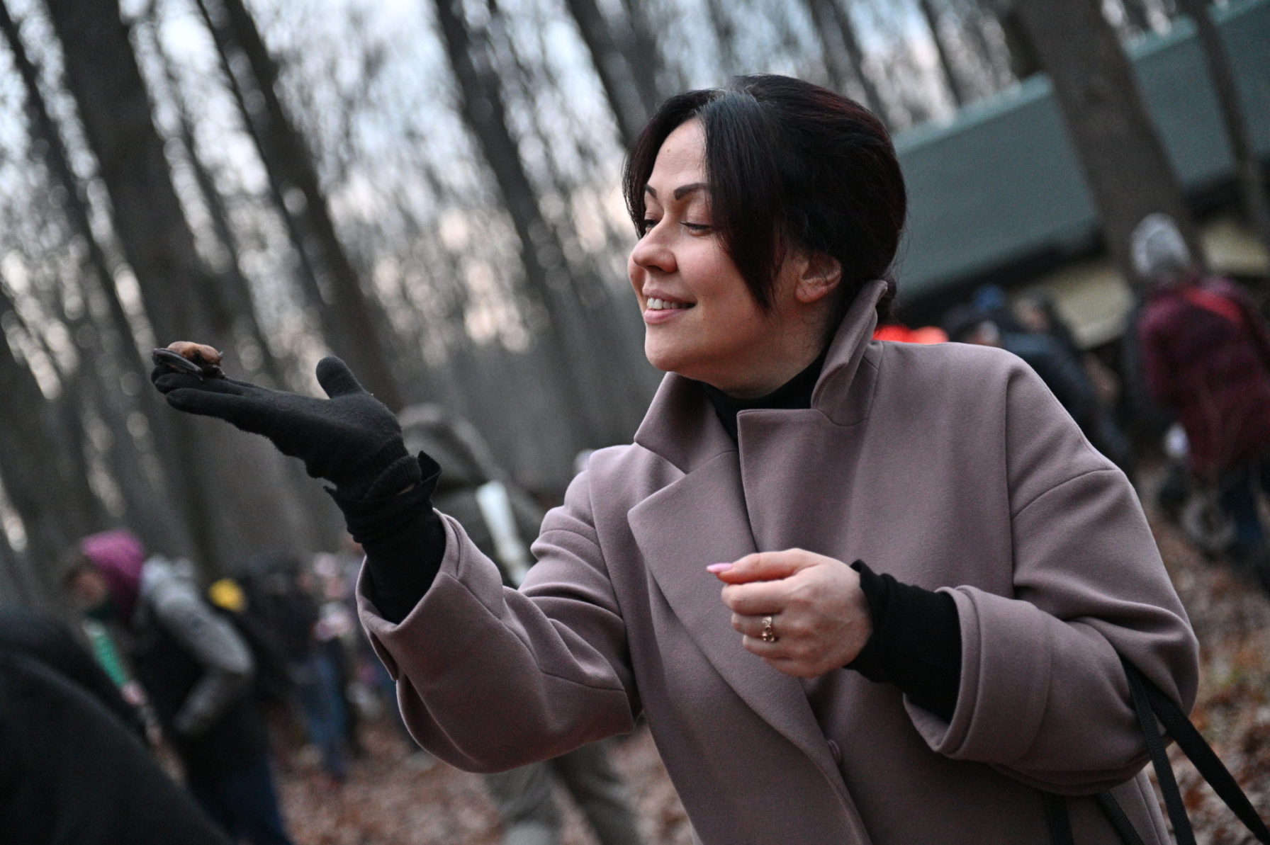 Bat Release Fest 2021 in 4 Ukrainian cities! - Ukrainian Bat ...