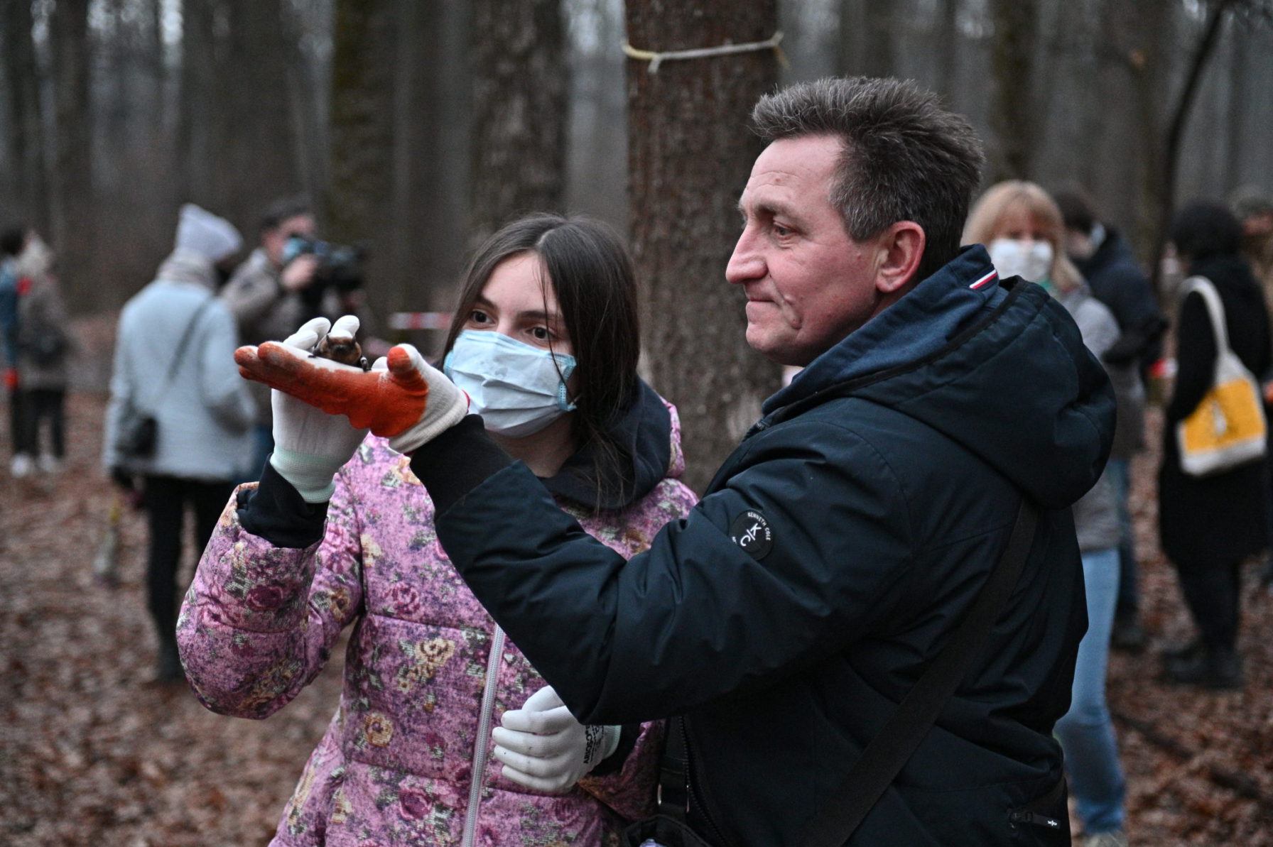 Bat Release Fest 2021 in 4 Ukrainian cities! - Ukrainian Bat ...