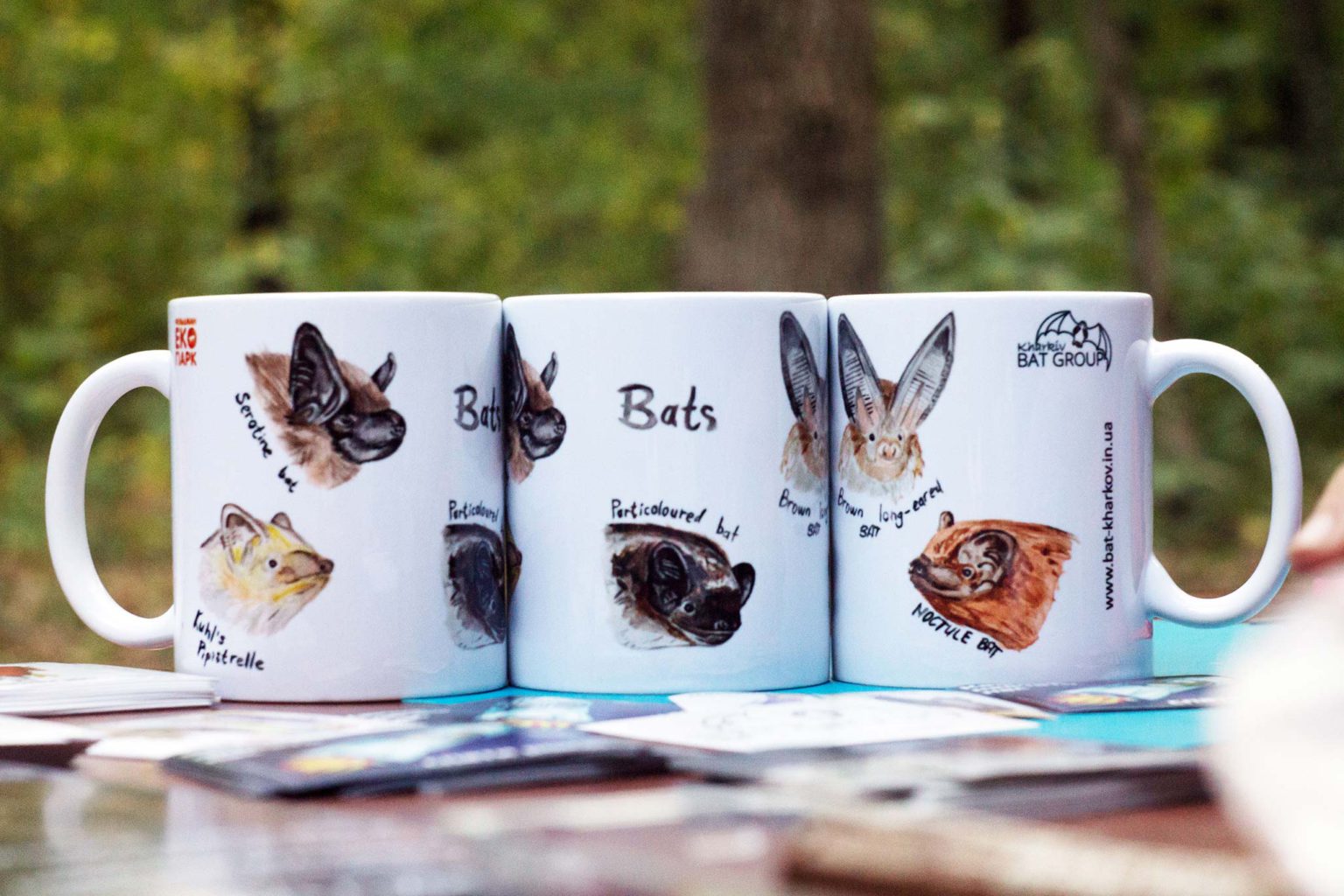 Bat souvenirs - Ukrainian Bat Rehabilitation Center