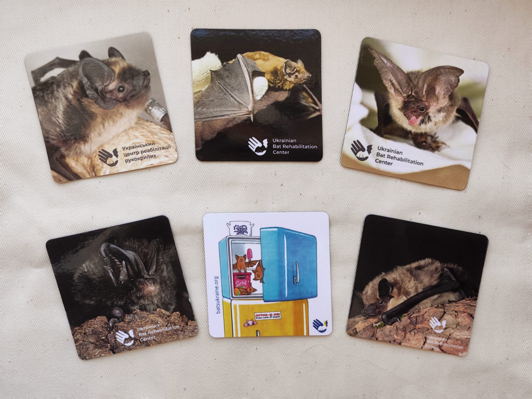 Bat souvenirs - Ukrainian Bat Rehabilitation Center